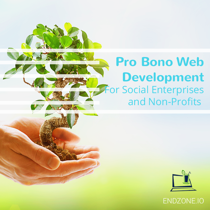 Pro Bono Web Development For Social Enterprises and Non-Profits
